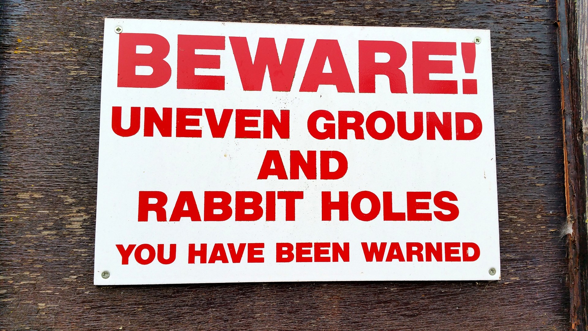 England 2016 - Day 2 -balettiedotcom-